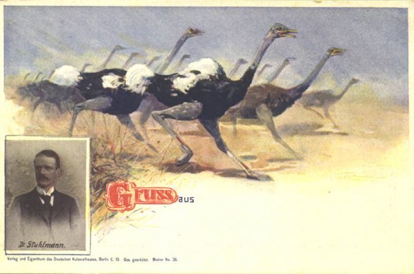 McC_3 | Postcard History