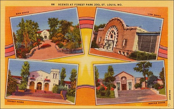 How Old Is That Postcard | Postcard History