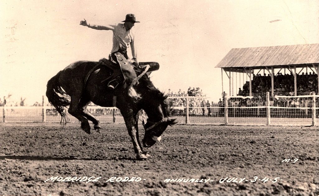 bronc rider | Postcard History