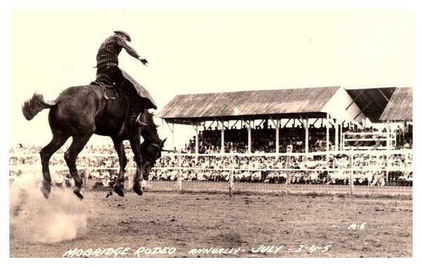A Day at the Sitting Bull Stampede | Postcard History