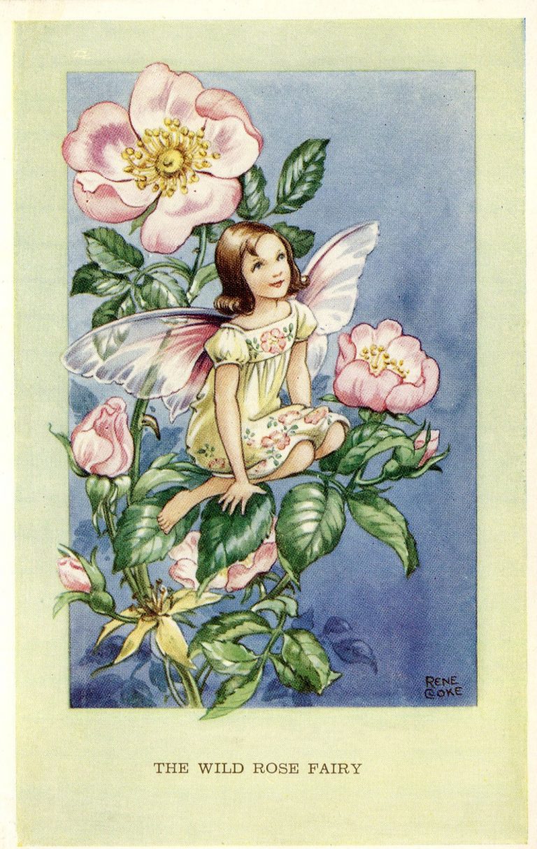 Allow Me to Introduce Rene Cloke | Postcard History