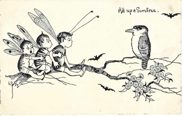 all-up-a-gumtree | Postcard History