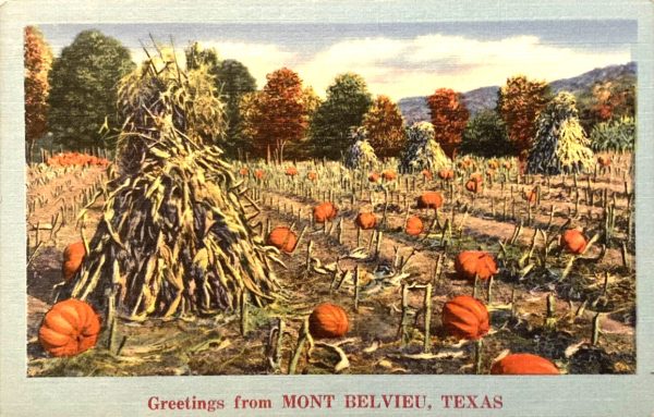 pumpkin 5 | Postcard History