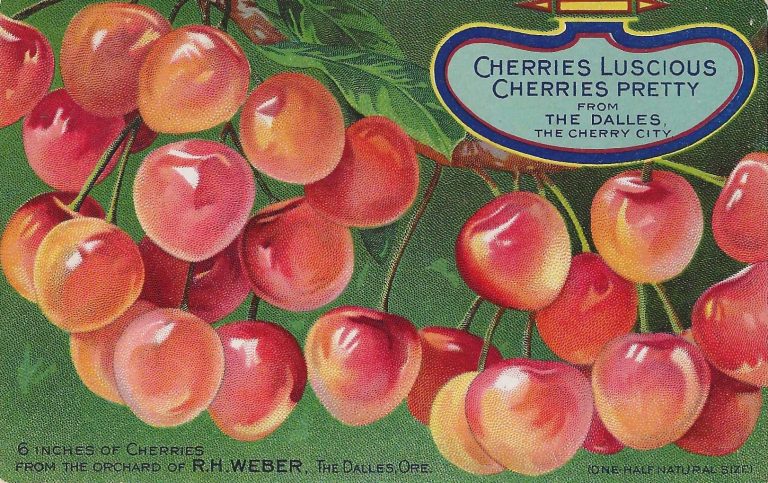 Cherry City | Postcard History